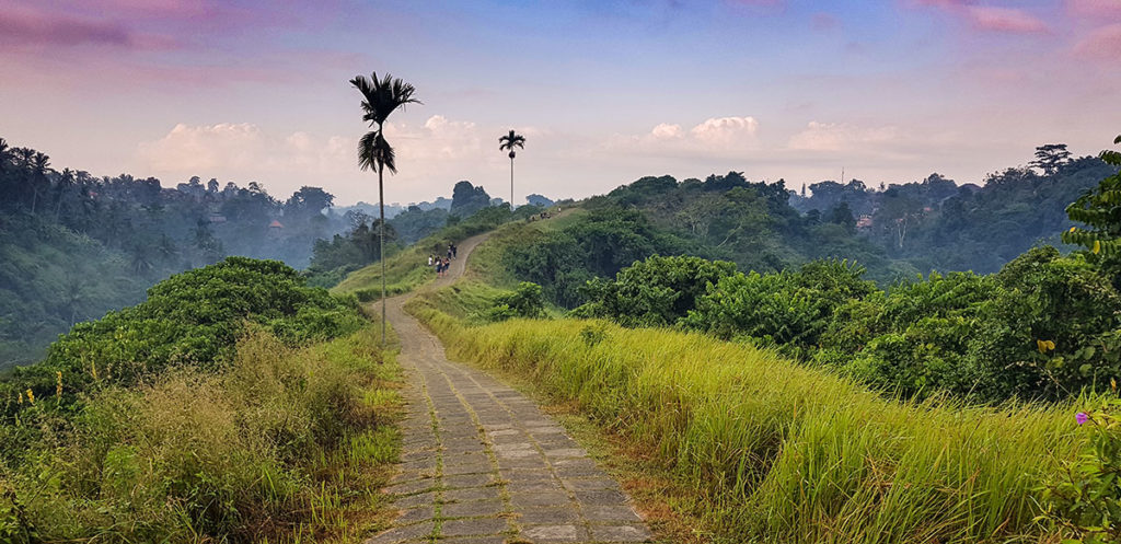 Best Jogging Tracks in Bali You Should Know - Kembali Lagi